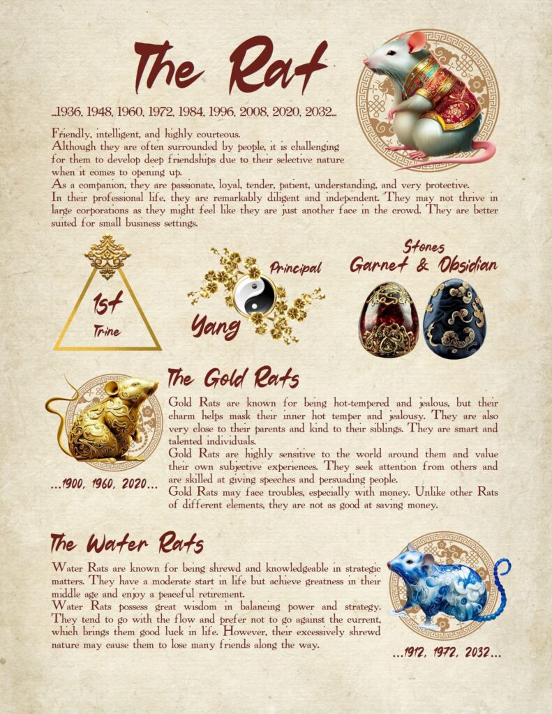 Rat – Evi's Modern Oracle